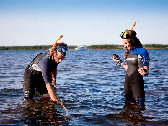PEI Clam Digging: Why You Need To Experience This Now!