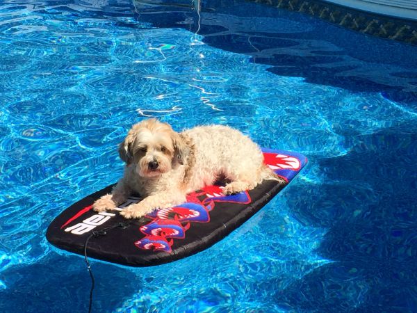 Do This Easy Summer Review To Make The Most Of The Season!