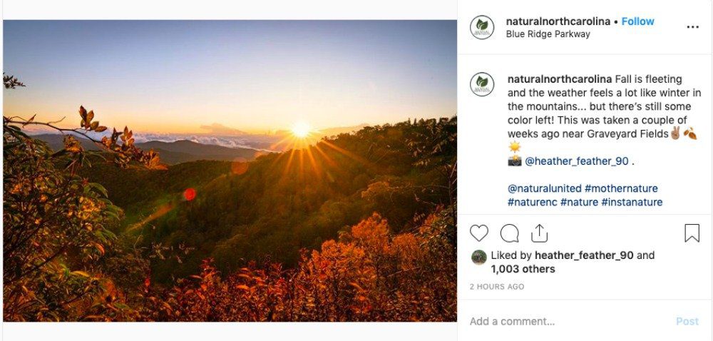 Nature Hashtags: Use these to amp up your Instagram