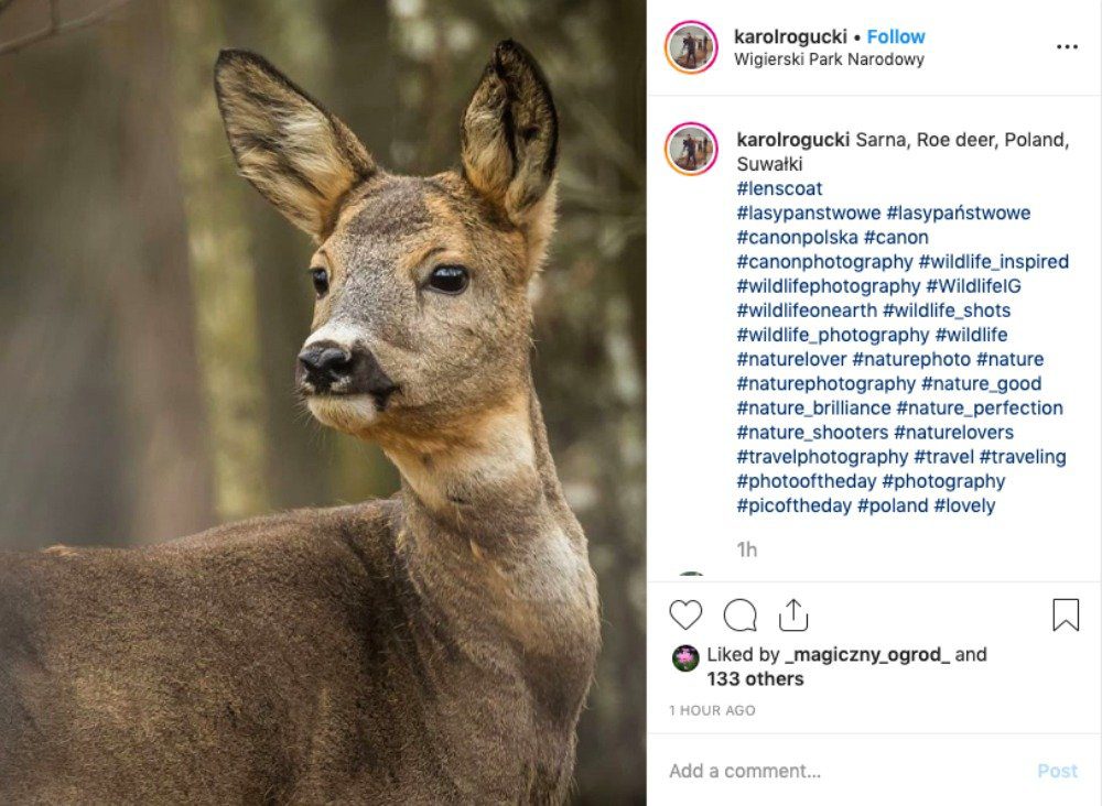 Nature Hashtags: Use these to amp up your Instagram