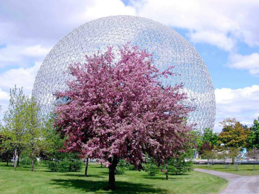 Spring Break in Montreal is AMAZING - Here's Why!