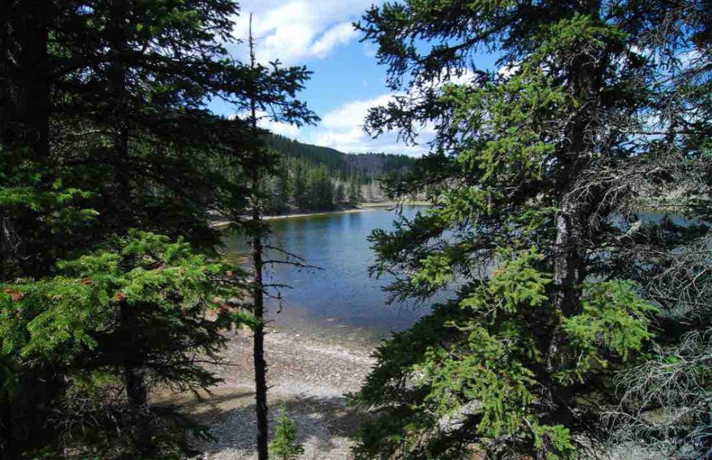Calgary Beaches: 12 awesome options to explore right now