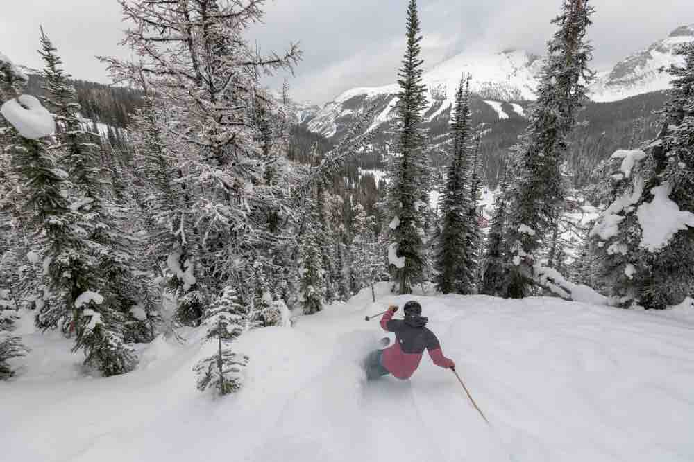 Skiing at Sunshine This Winter: What You Need to Know!