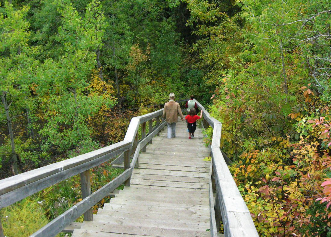 Edmonton Things To Do: 22 Fun-filled Adventures!