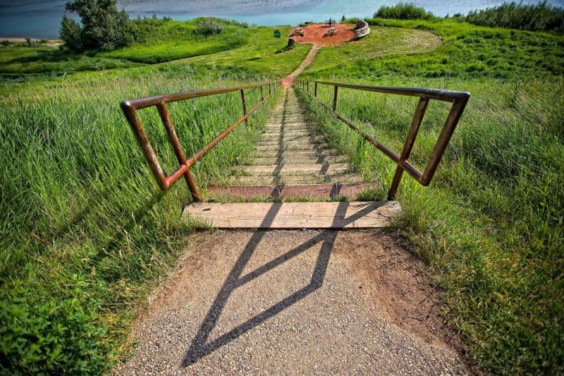 Picnic Spots In Calgary: 15 Amazing Sites You Can't Miss!