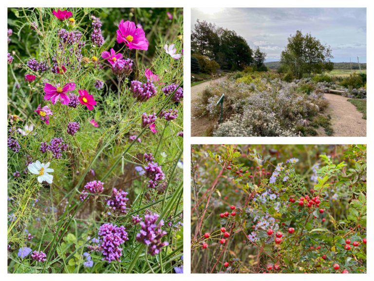 6 Amazing Historic Sites and Gardens in Annapolis Royal