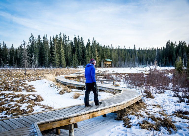 Edmonton To Jasper: How To Get There And Best Spots To Stop