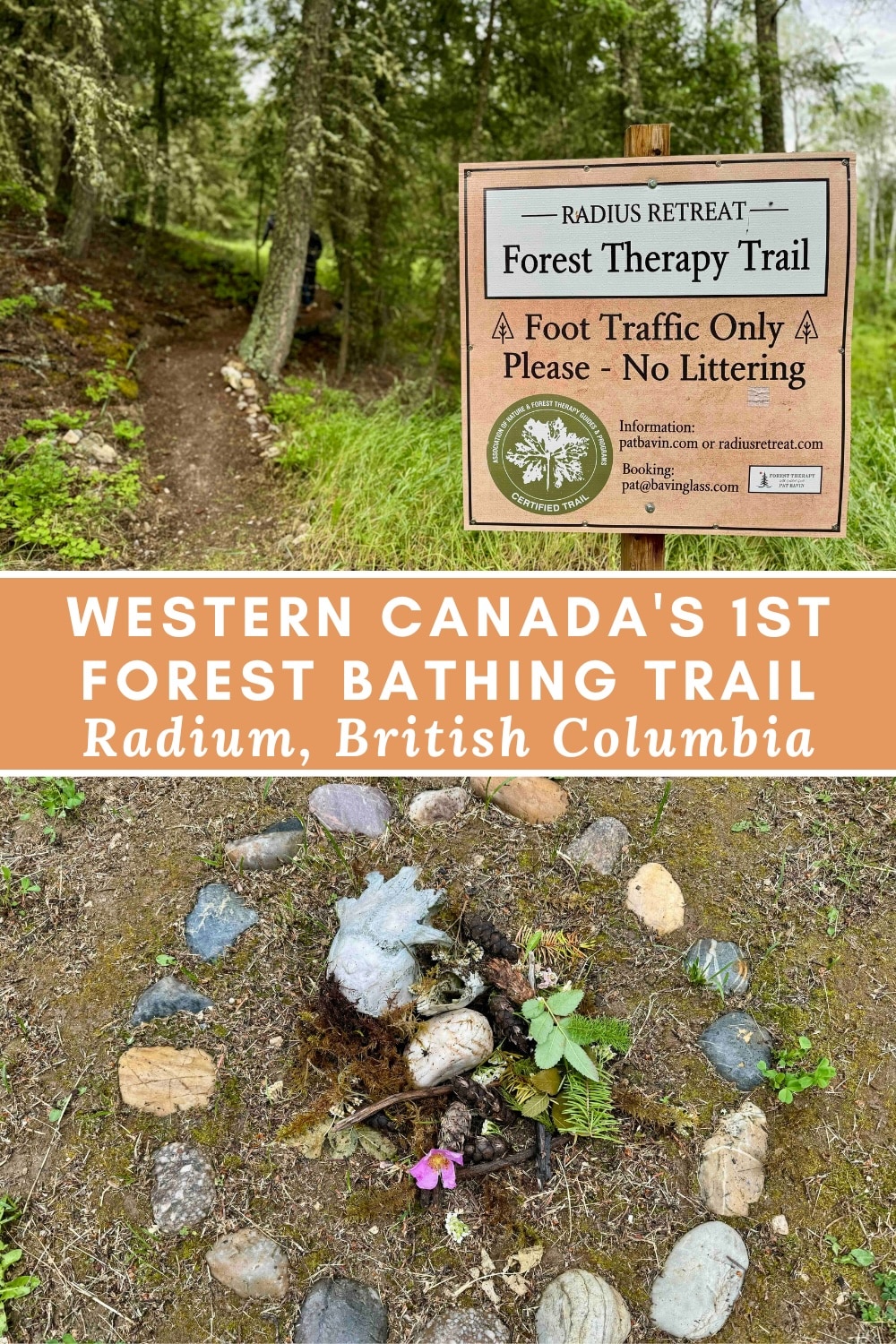 The Forest Therapy Trail In BC That Can Change Your Life!