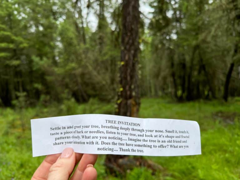 The Forest Therapy Trail In BC That Can Change Your Life!