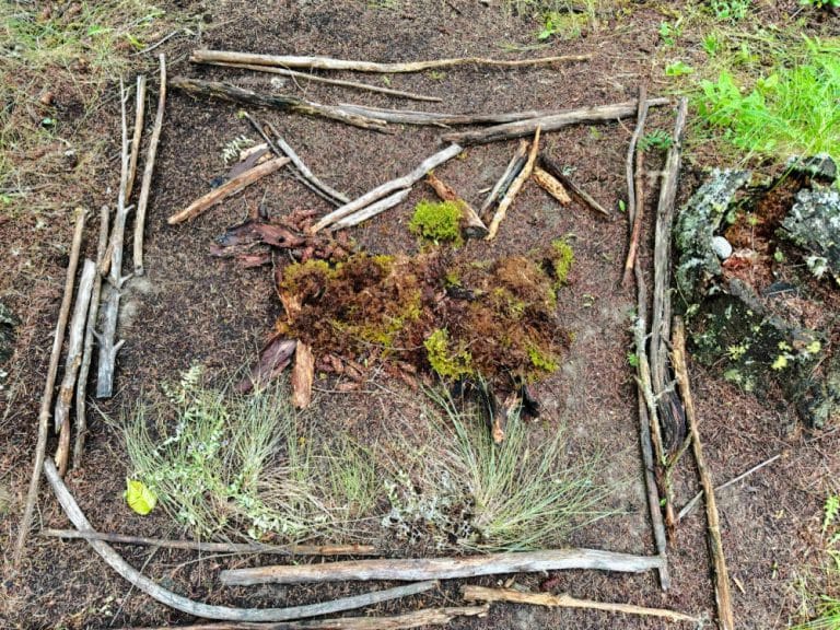 The Forest Therapy Trail In BC That Can Change Your Life!