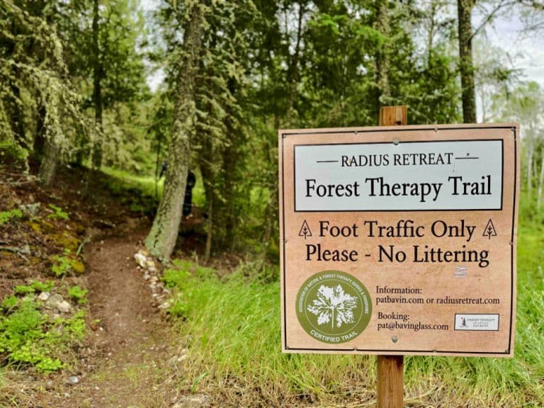 The Forest Therapy Trail In BC That Can Change Your Life!